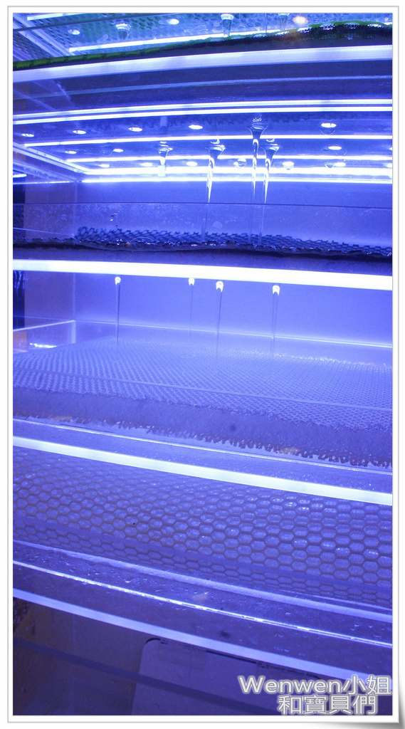 ♥台北世貿家具展-德藝風範【PasSlim】全透氣舒柔膚感獨立筒/雲睡感天絲適中 獨立筒雙人床墊/ 透氣/歐盟認證天然乳膠/CP值超高 ...